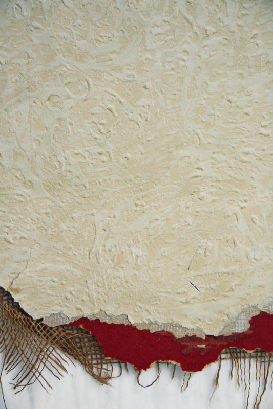 Wallpaper fragment - Heritage New Zealand